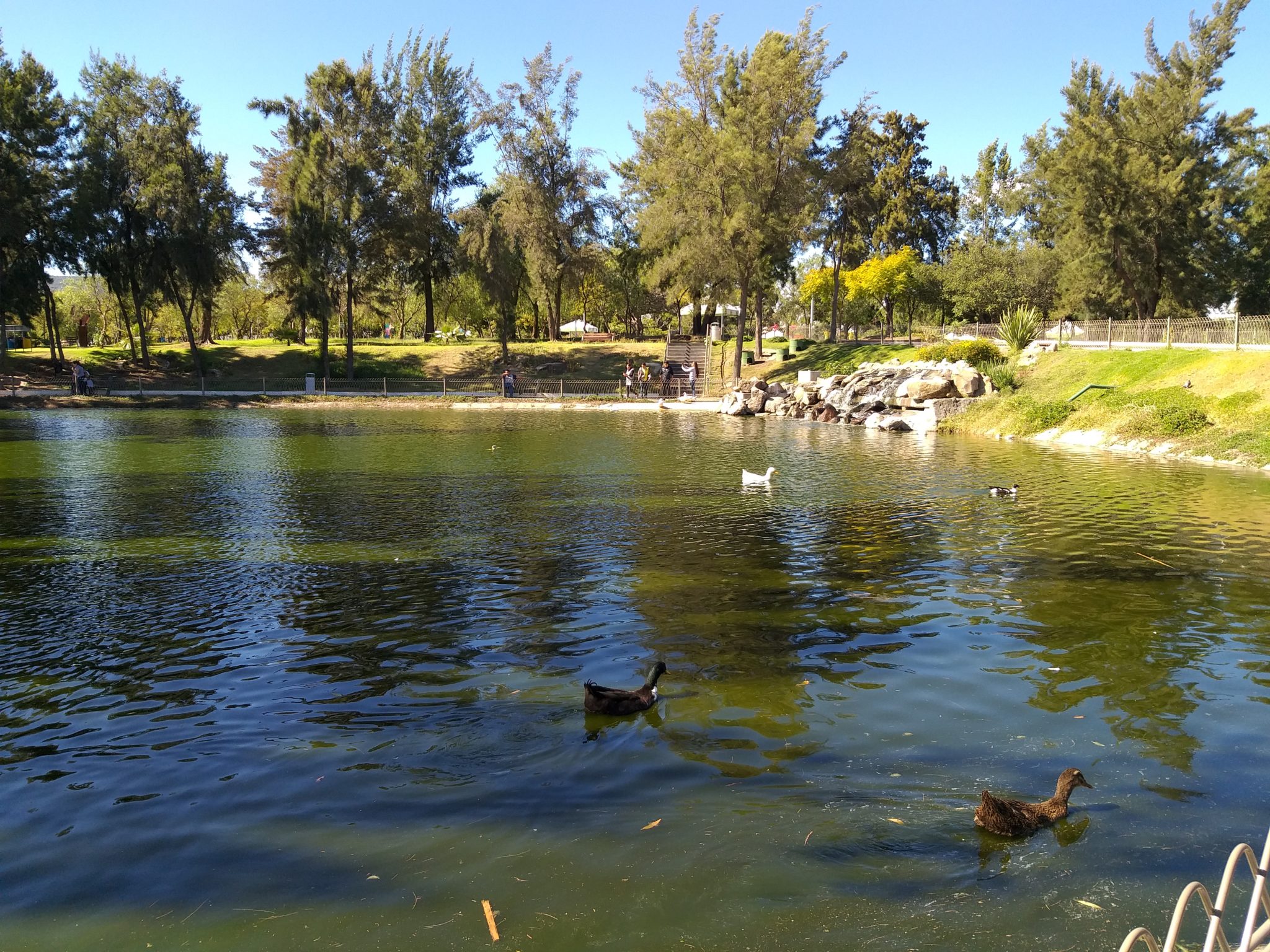 Los Mejores Parques de Guadalajara | GDLGo